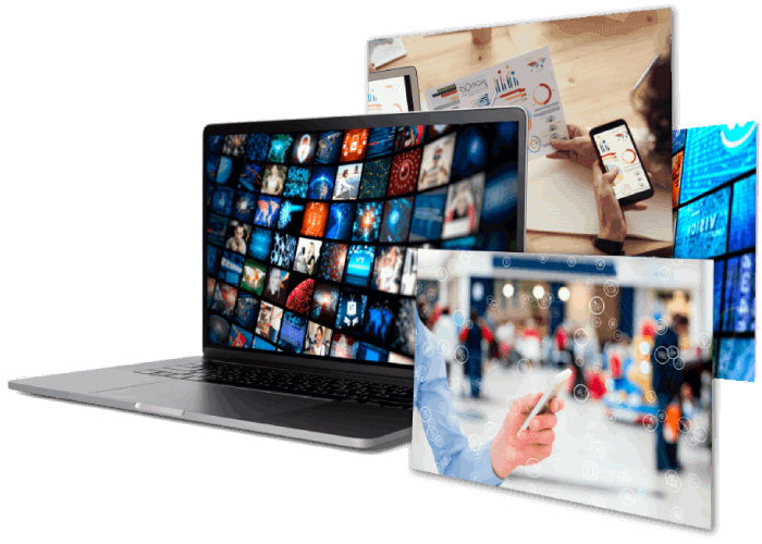 Expert Media Strategy | Transiris.com